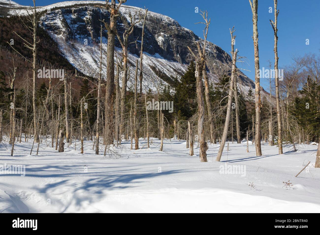 Franconia Notch State Park - Cannon Cliff which is on the side of ...