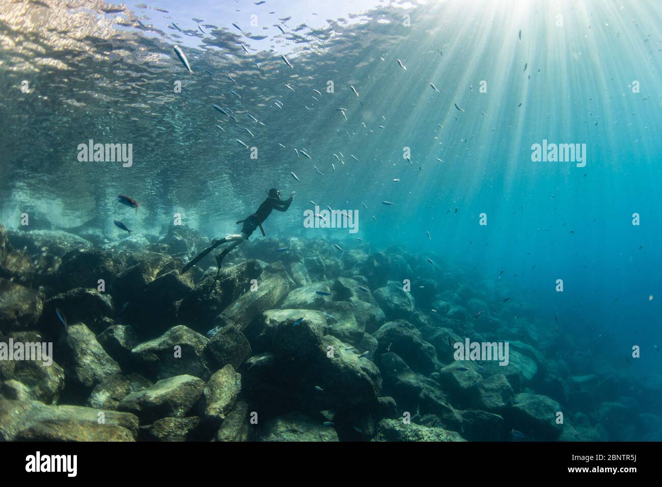 Breaking the water surface hi-res stock photography and images - Alamy