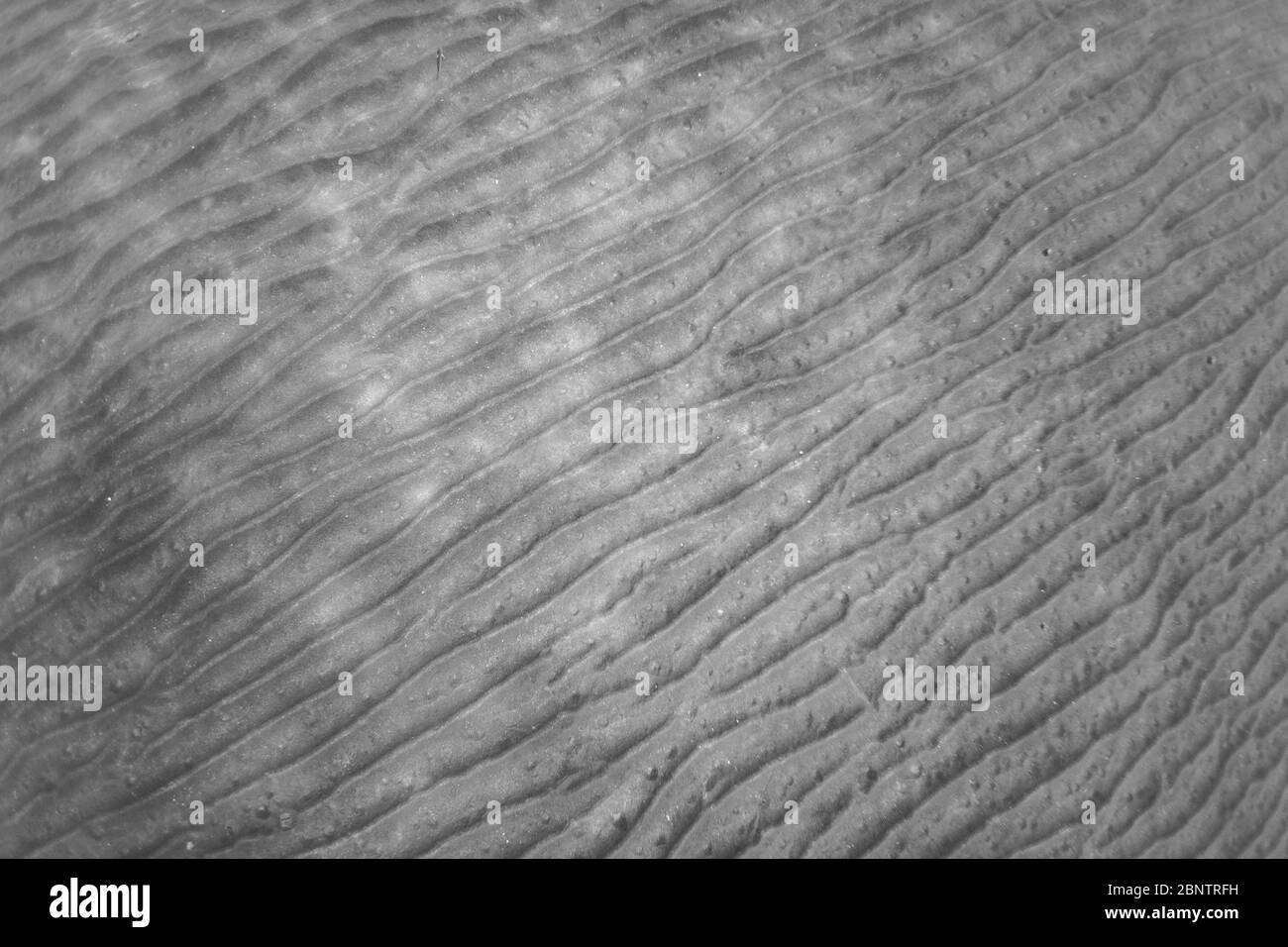 Sun beams in underwater hi-res stock photography and images - Alamy