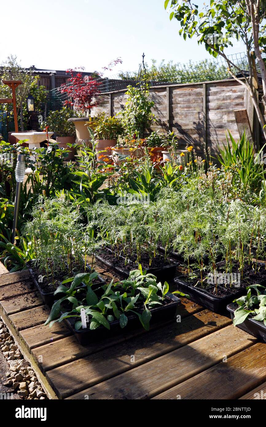 Ready for growth hi-res stock photography and images - Alamy