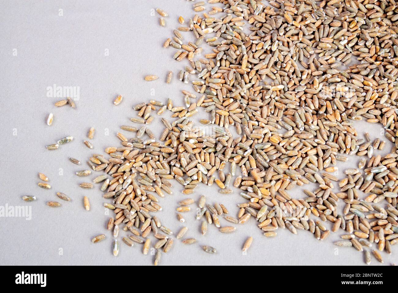 Texture of raw unpeeled oats closeup. View from above Stock Photo - Alamy