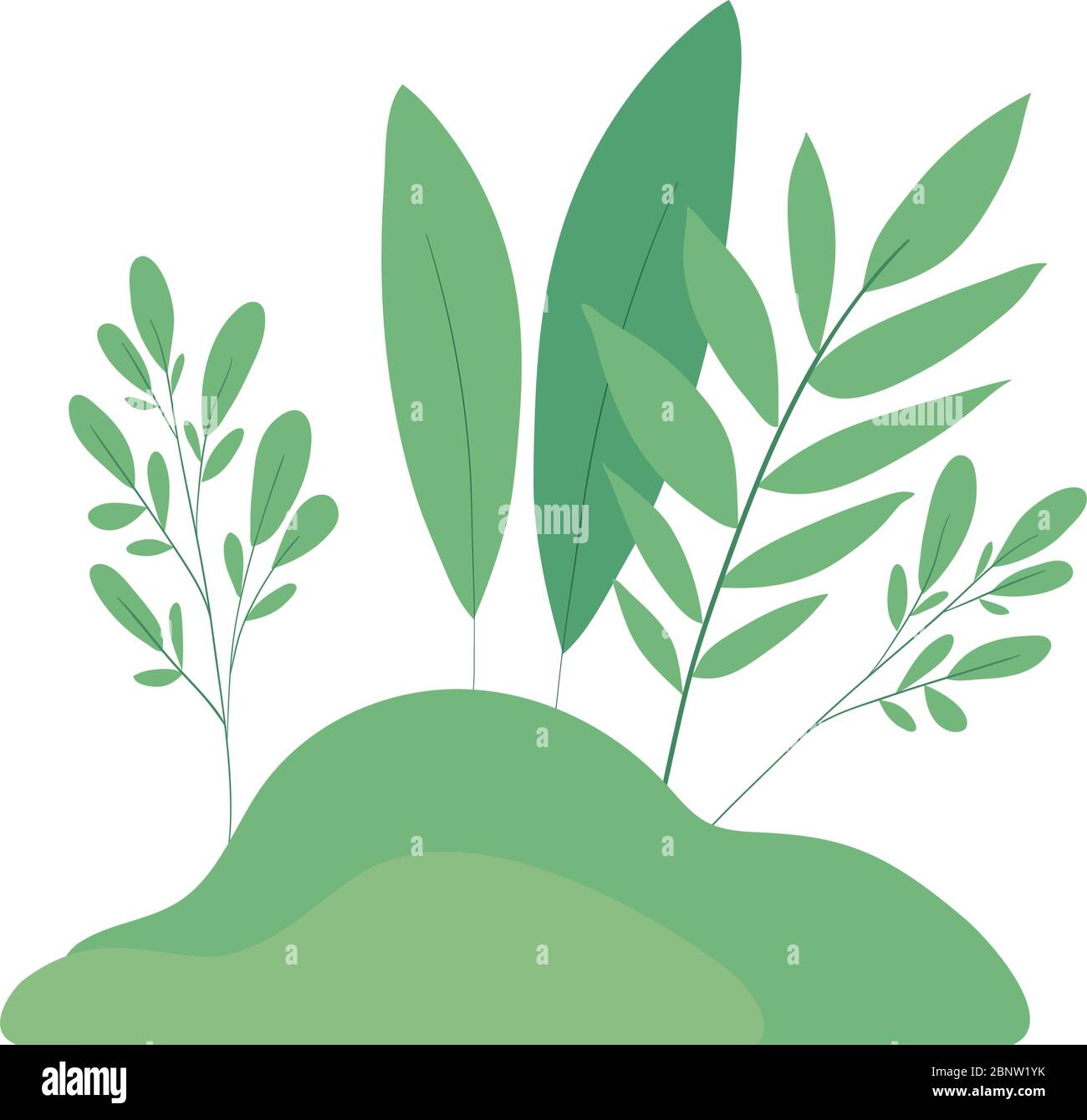 Isolated leaves vector design Stock Vector Image & Art - Alamy