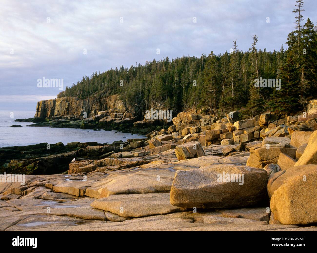Otter Cliff at Acadia National Park on Mount Desert Island in Maine ...