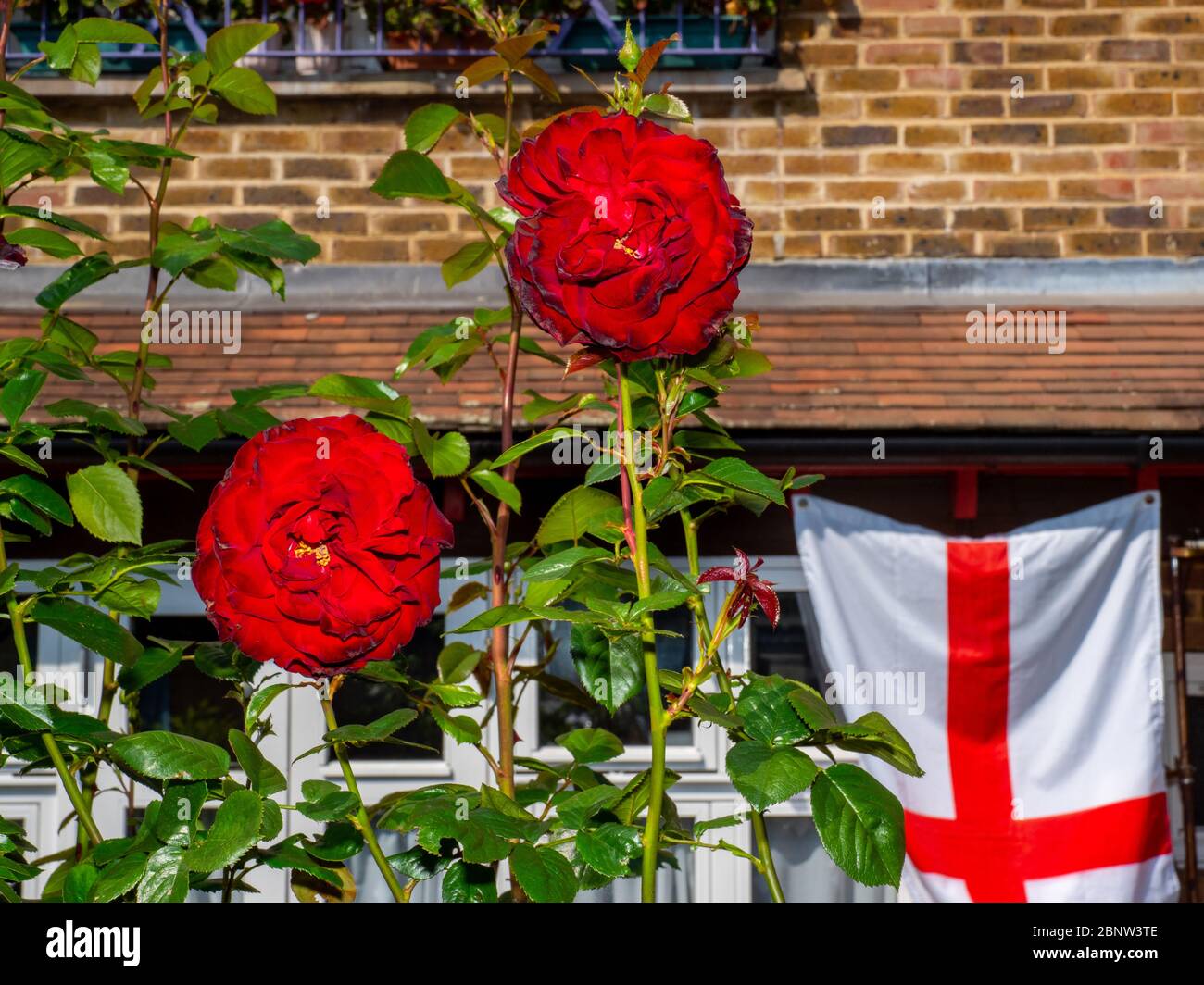 VE Day 75th anniversary celebrations on a north London street Stock ...