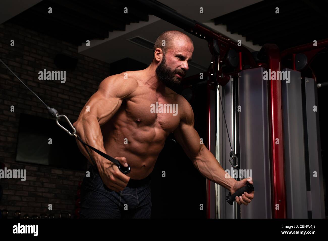 Muscular Fitness Bodybuilder Doing Heavy Weight Exercise For Chest On ...