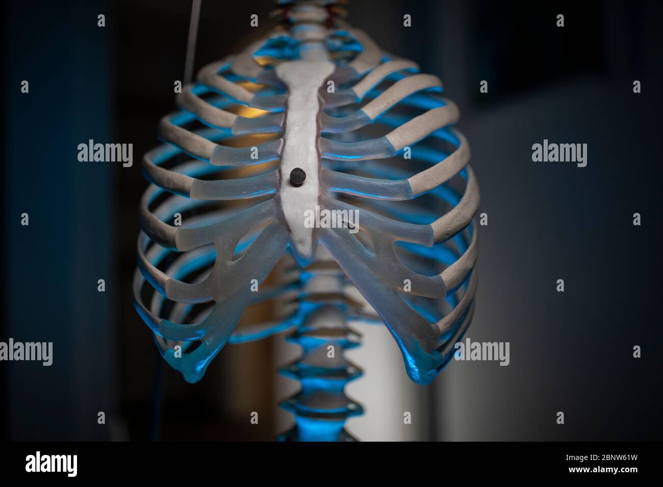 A skeleton of a human body with blue and yellow light Stock Photo - Alamy