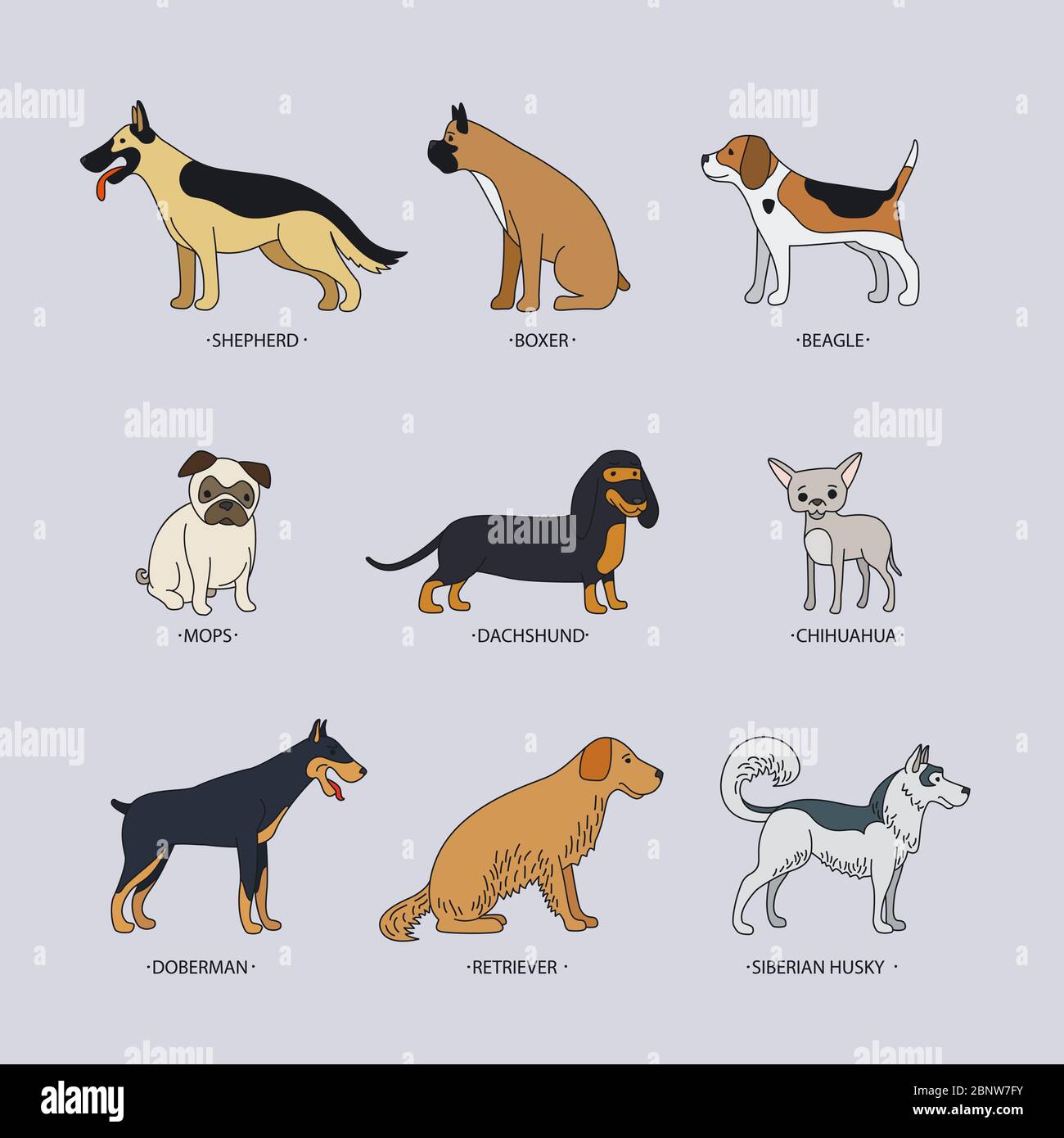 Doodle dog breeds colored flat icons set. Vector illustration Stock ...