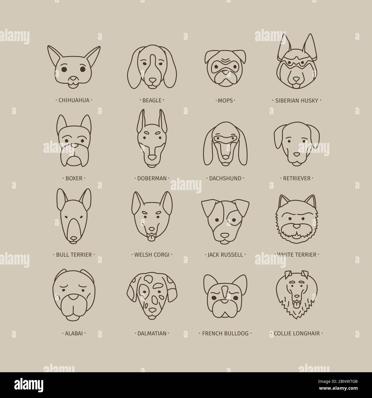 Head of dog and puppy set. Vector hand drawn dog breeds Stock Vector ...