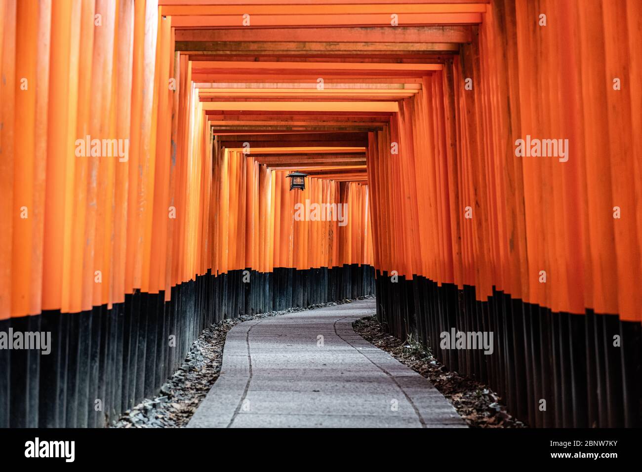 Thousand japanese gates hi-res stock photography and images - Alamy