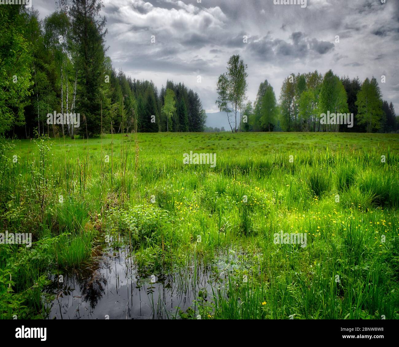 Moor and pond scenery hi-res stock photography and images - Alamy