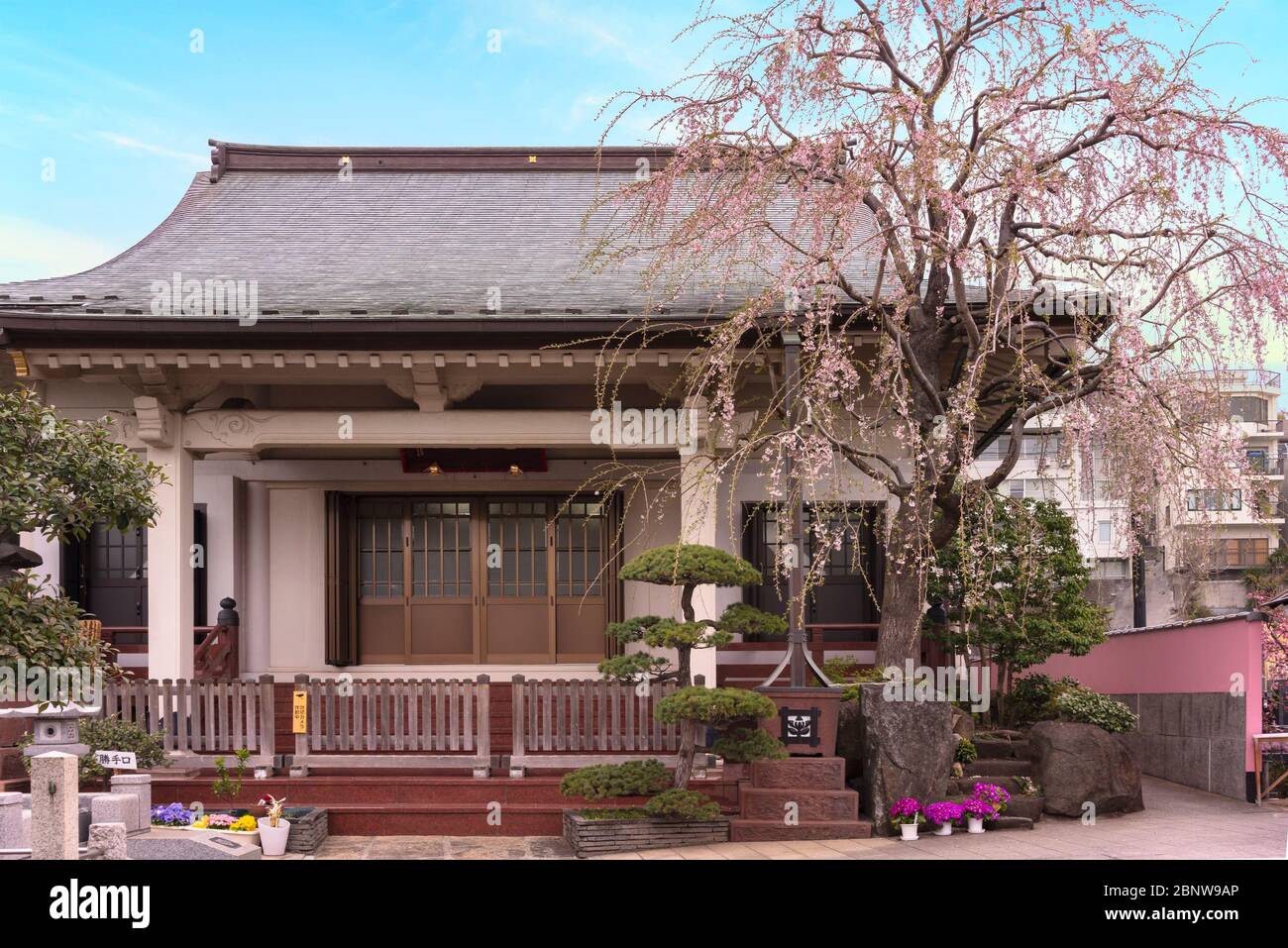 Buddhist temple budai hi-res stock photography and images - Alamy