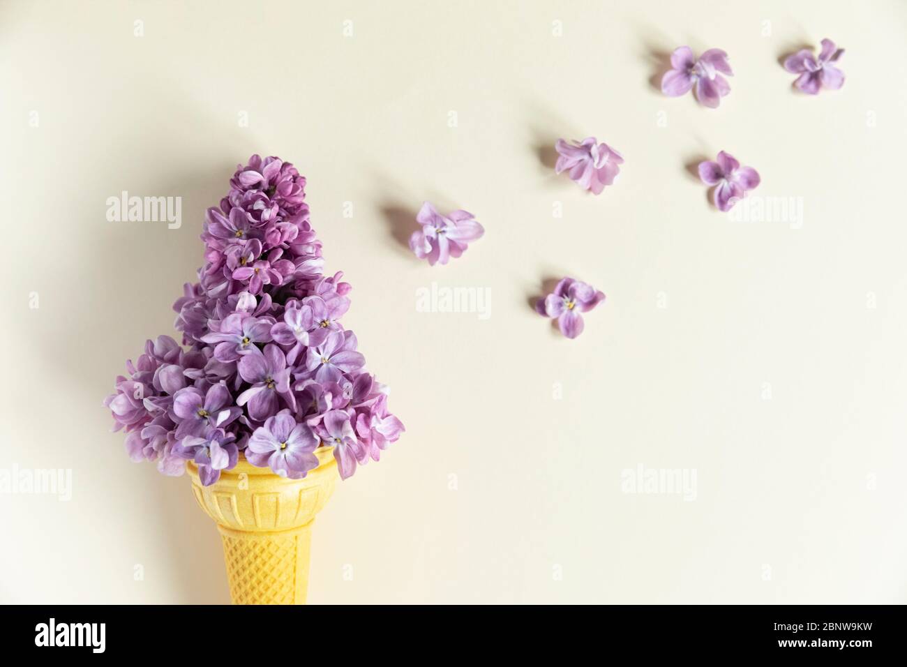 Sense of awakening hi-res stock photography and images - Alamy