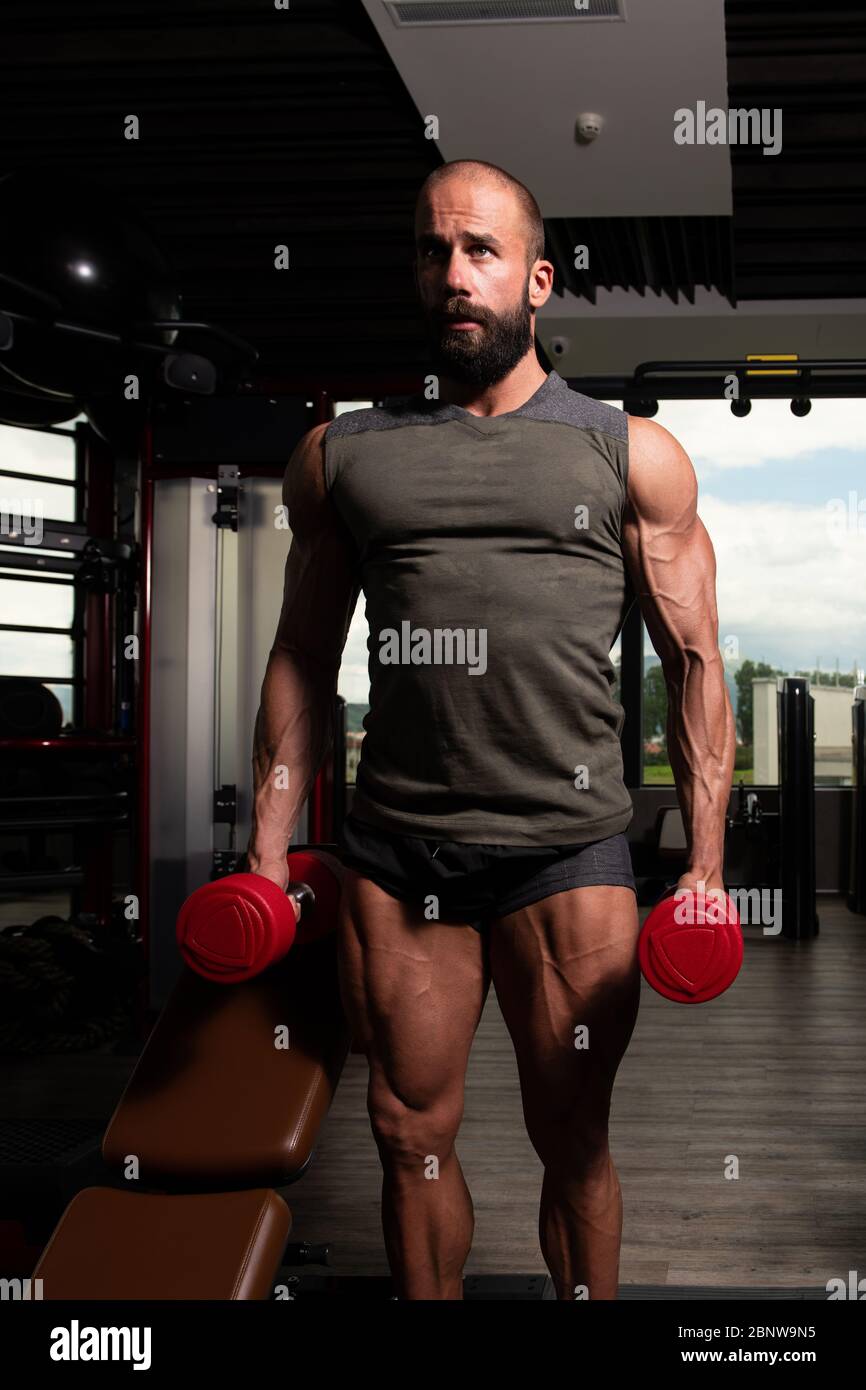 Man Working Out Biceps In A Gym - Dumbbell Concentration Curls Stock ...