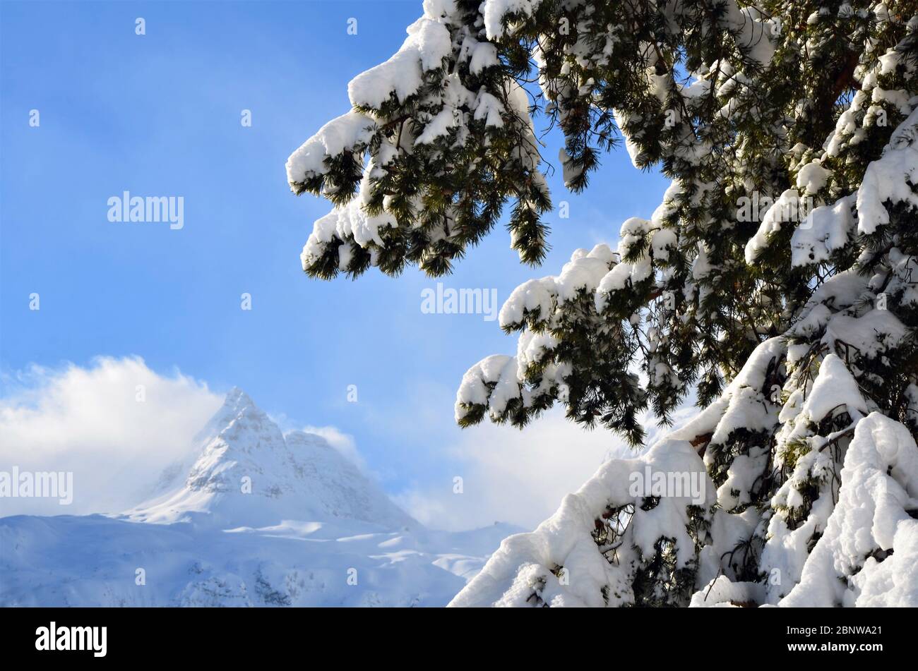 winter landscape in Lofer Austria Stock Photo - Alamy