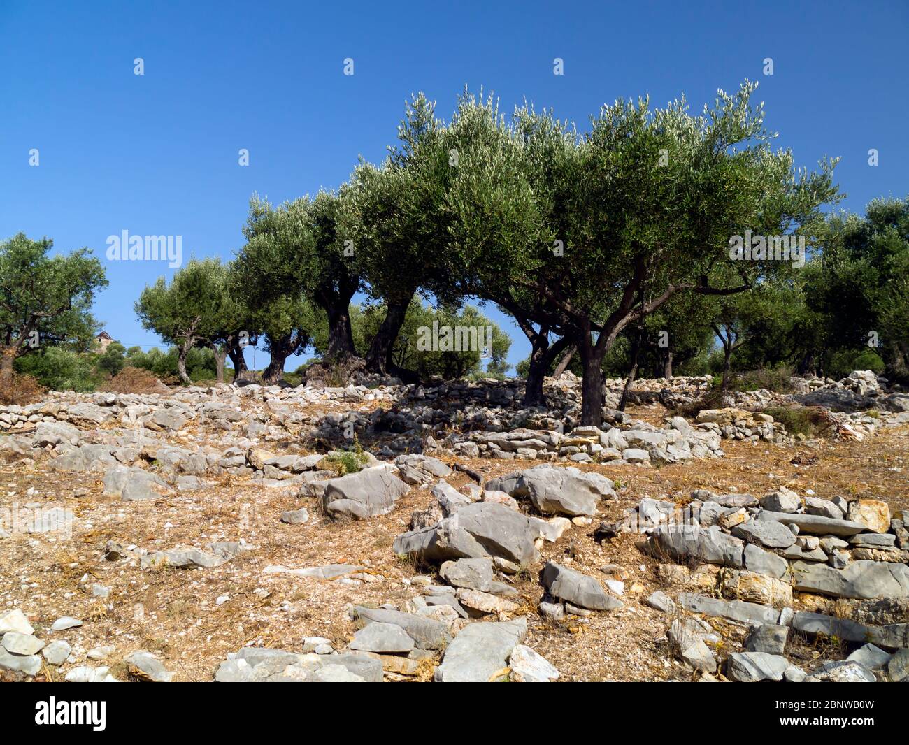 Kastos greece hi-res stock photography and images - Alamy