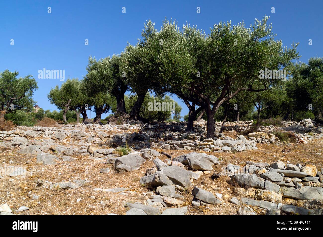 Kastos hi-res stock photography and images - Alamy