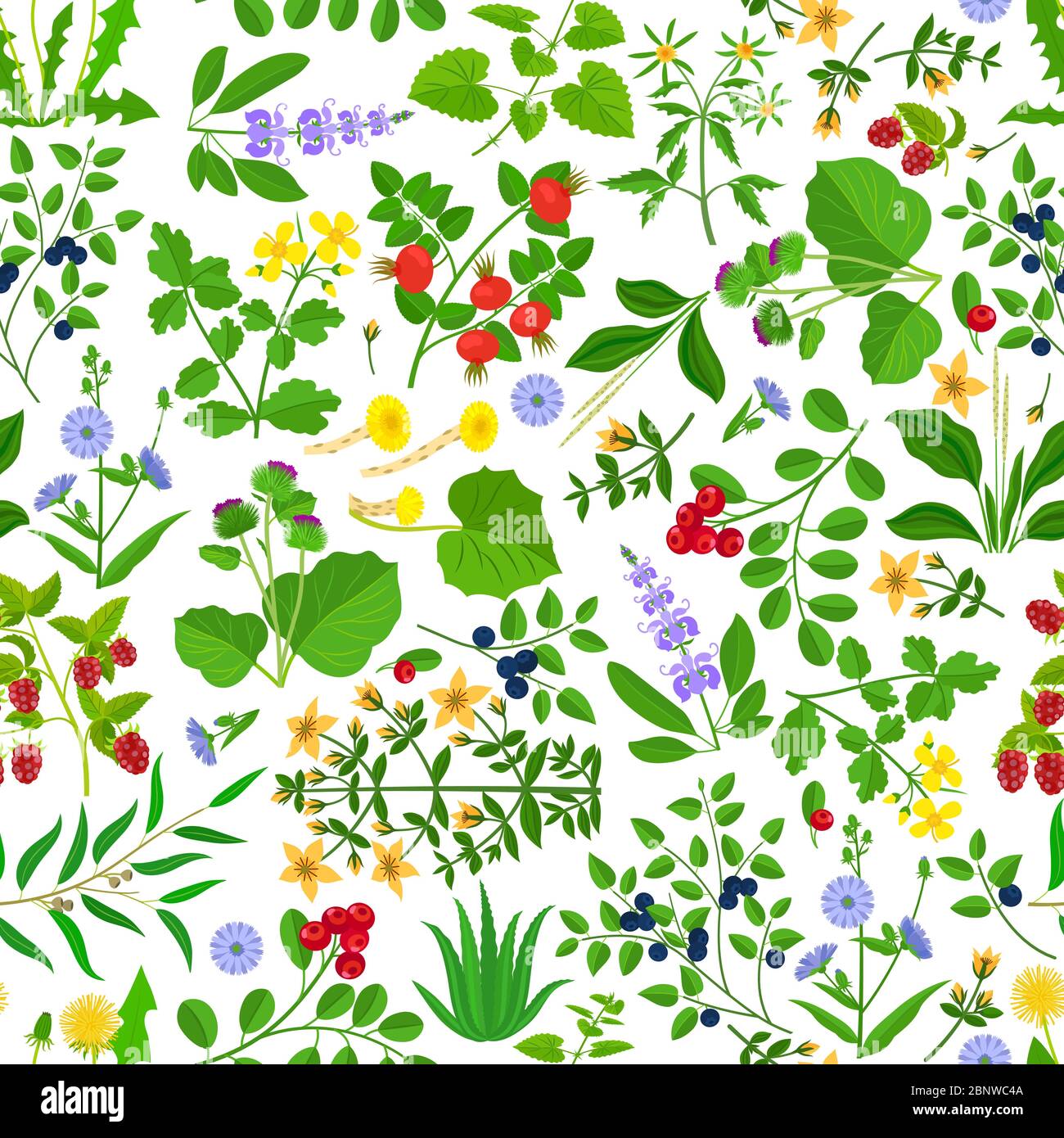 Herbal Vector Wallpaper