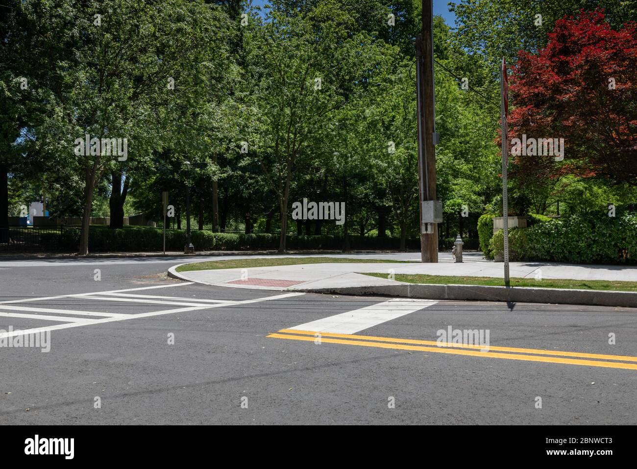 Intersection of two streets in an urban city landscape, park with trees ...