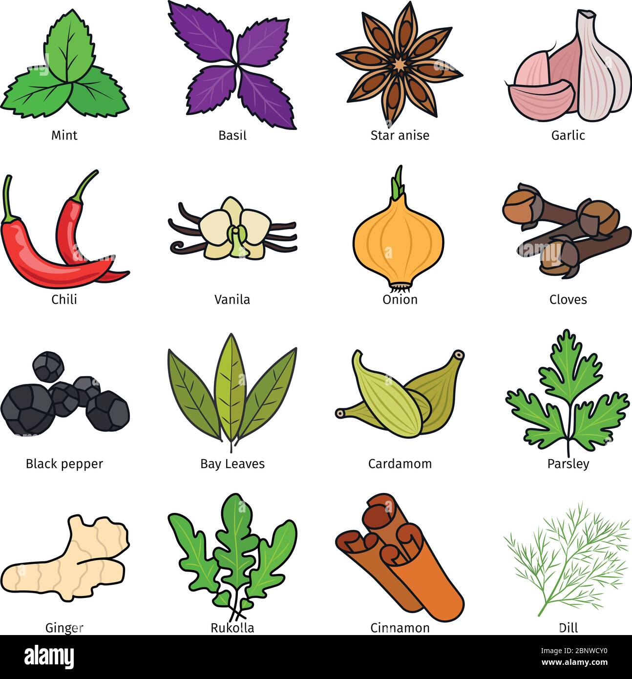 Herbs and spices vector. Hand drawn condiments isolated on white ...