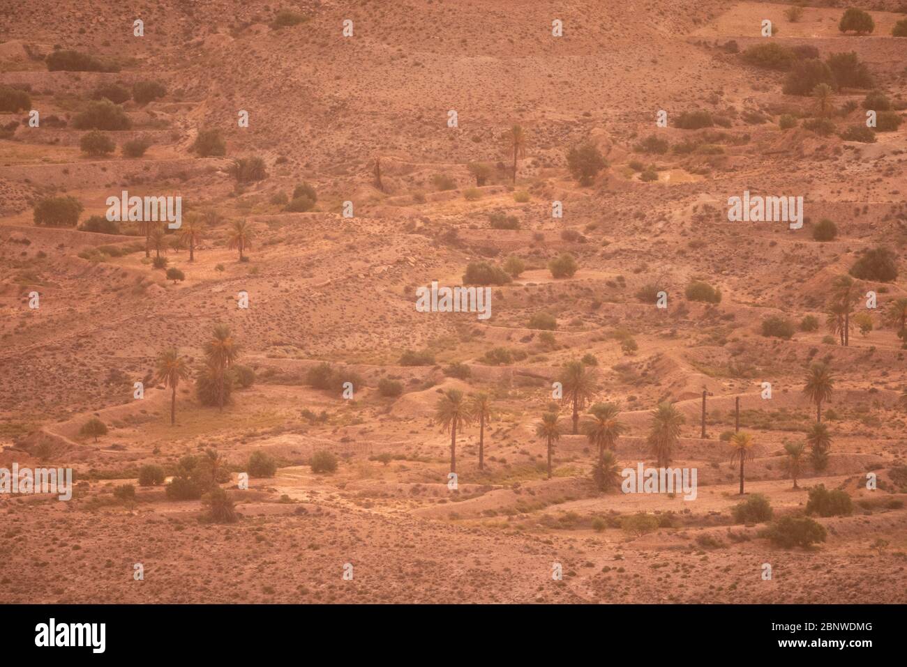 welcome in tunisia, welcome to the djebel dahar Stock Photo - Alamy