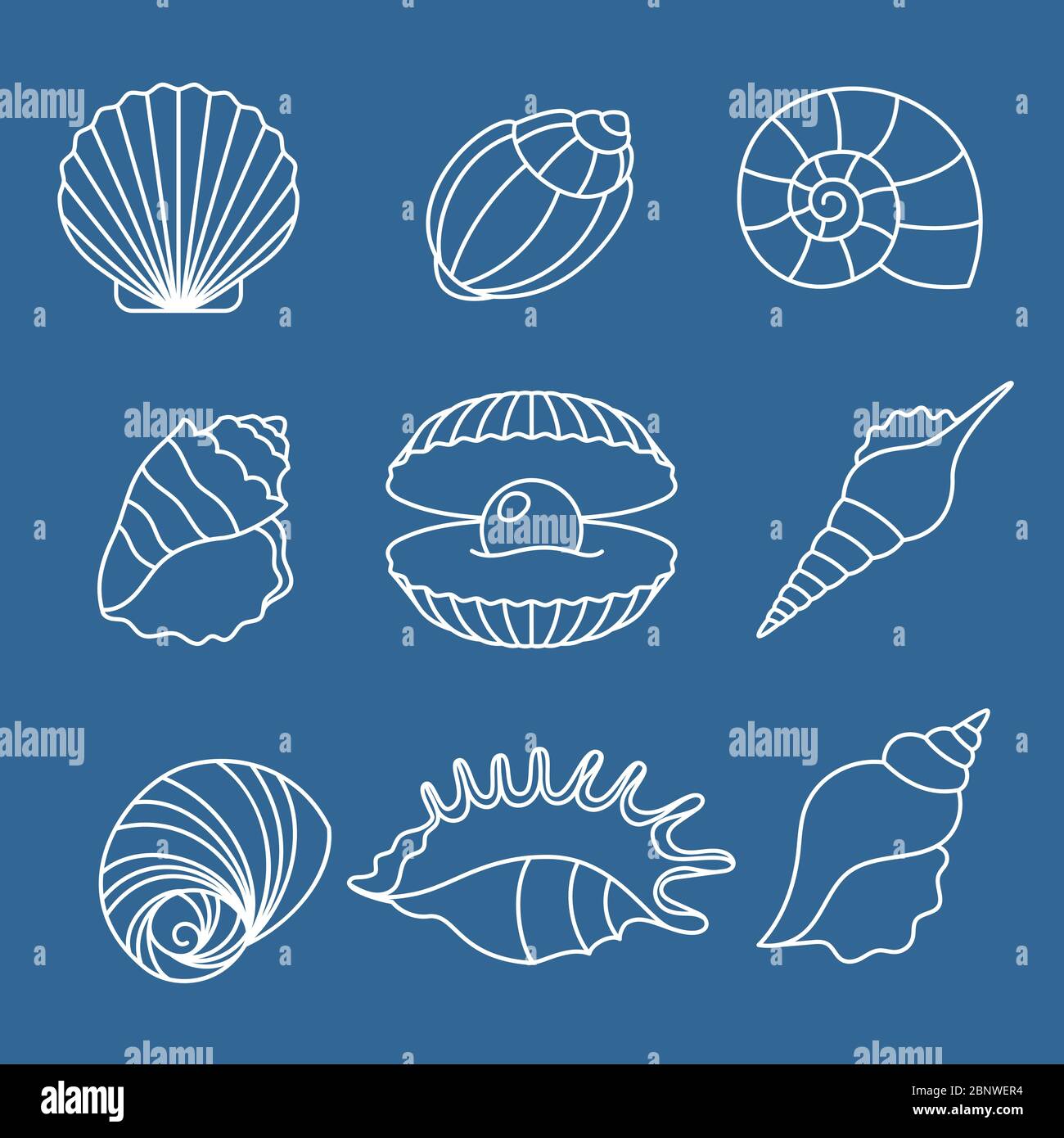 Sea shell outline icons on blue background. Vector illustration Stock ...