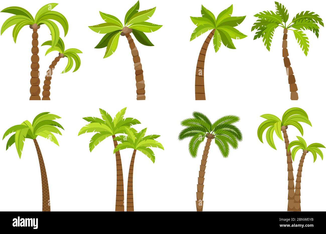 Palm trees isolated on white background. Beautiful vectro palma tree ...