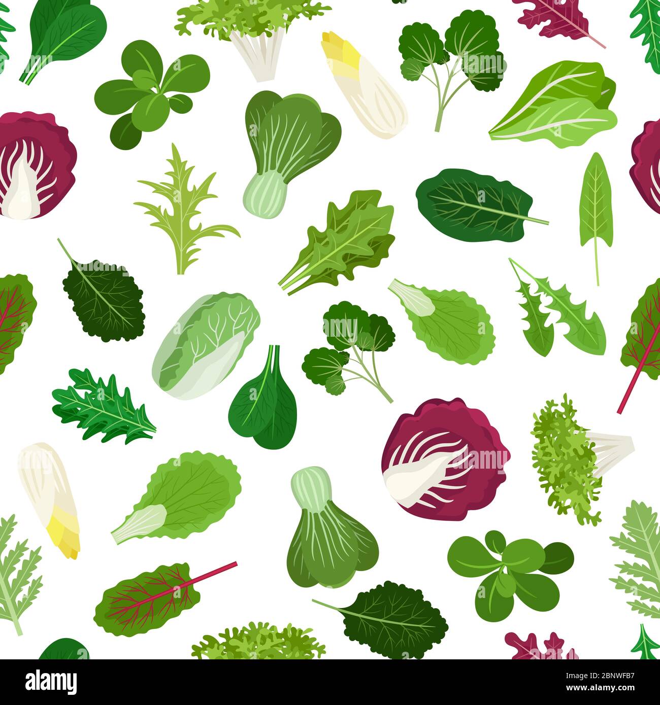 Watercress leaf white background Stock Vector Images - Alamy