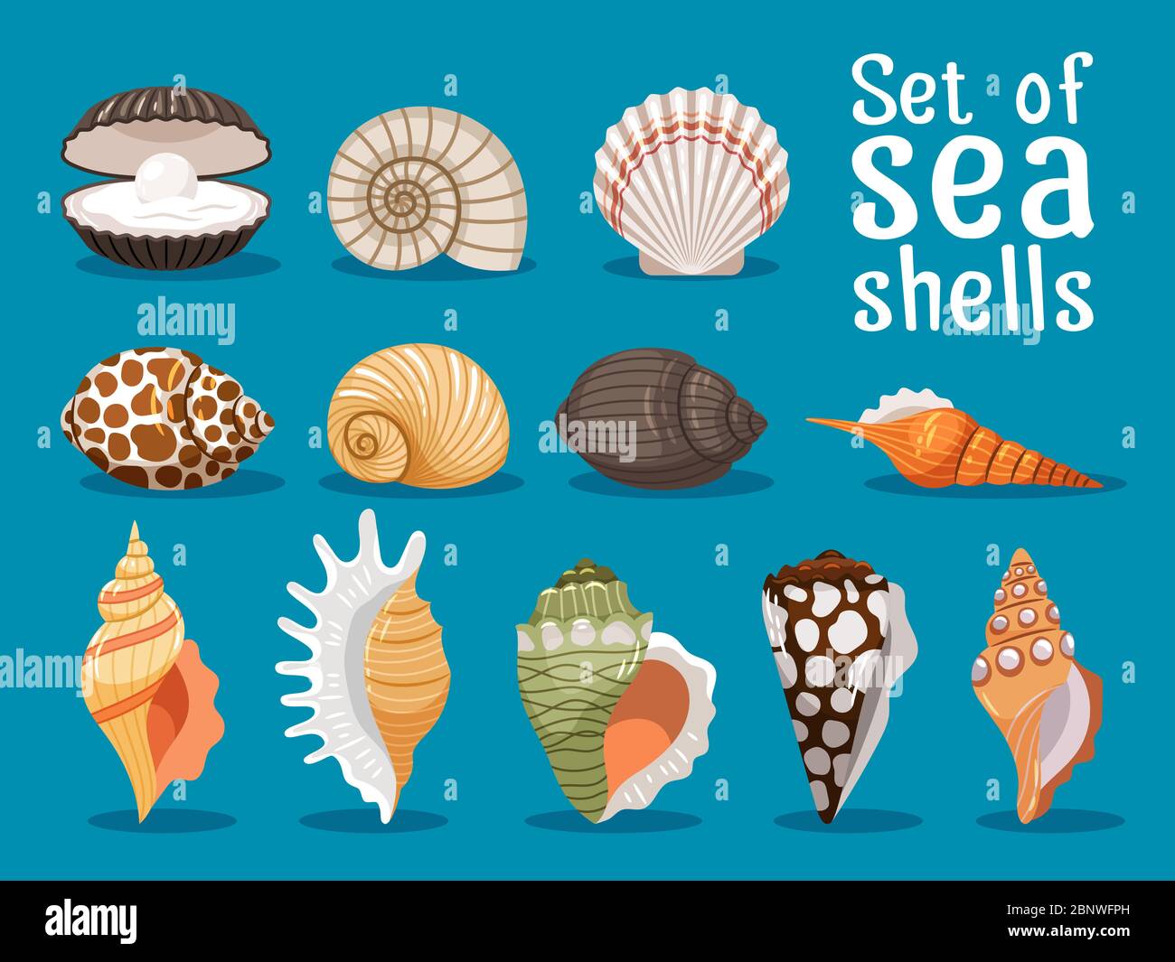 Sea shells isolated on blue background. Seashell set vector ...