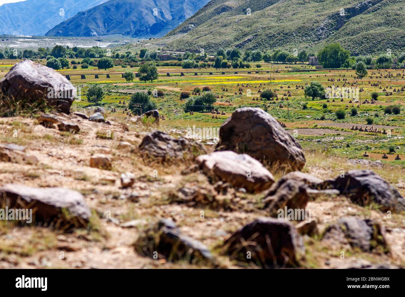 Tibet plateau hi-res stock photography and images - Alamy