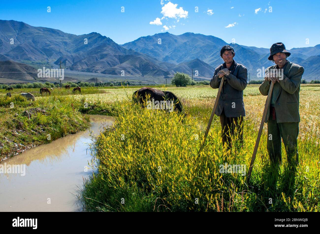 Tibet landscape agriculture hi-res stock photography and images - Alamy