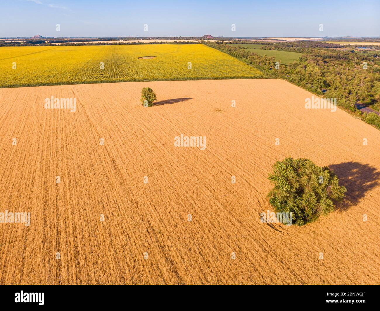 Beautiful drone view from above on the border between two fields ...