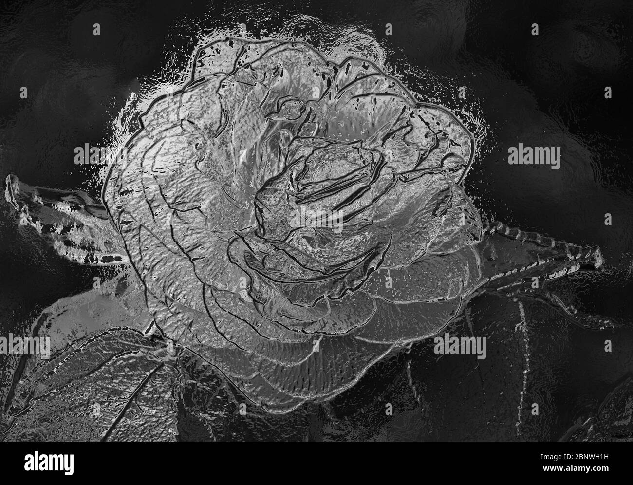 Dark rose grey hi-res stock photography and images - Alamy