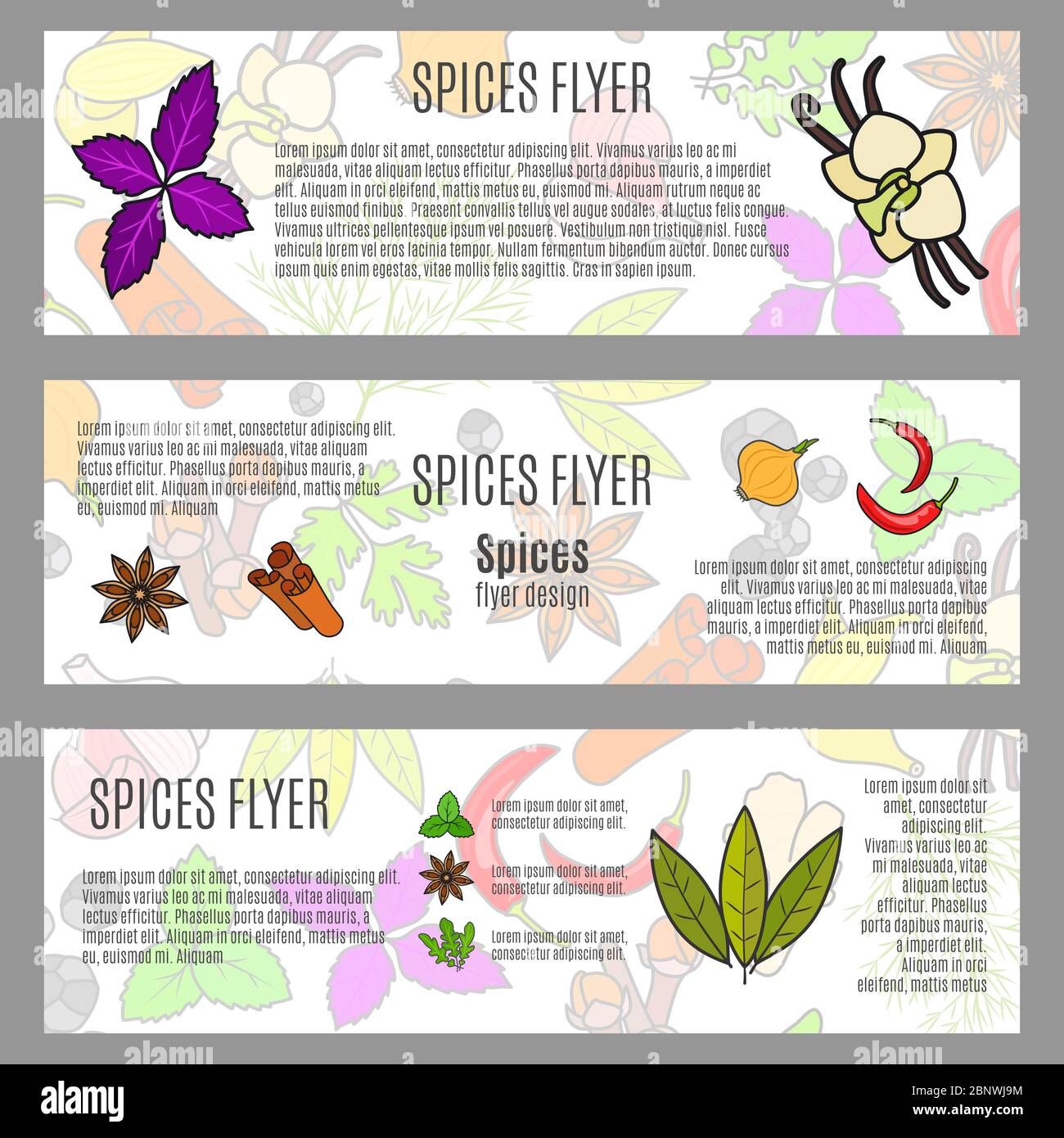 Spices horizontal flyer design with pattern and icons. Vector ...