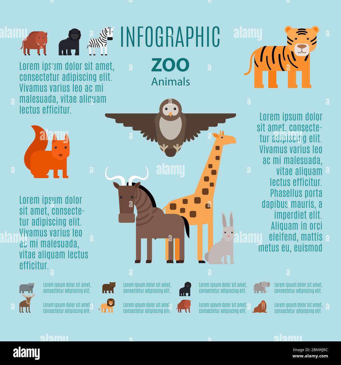 Zoo animals vector infographic on light blue background Stock Vector ...