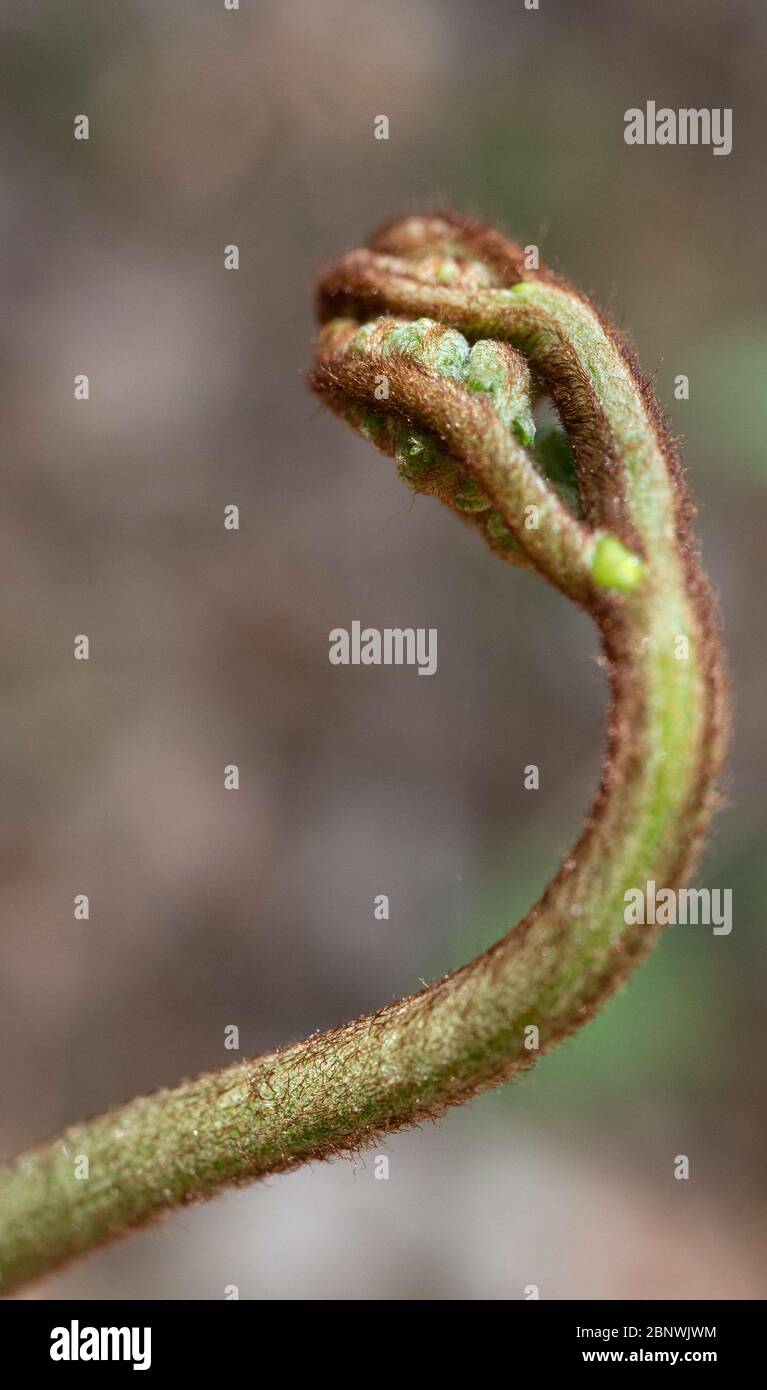 Friond hi-res stock photography and images - Alamy