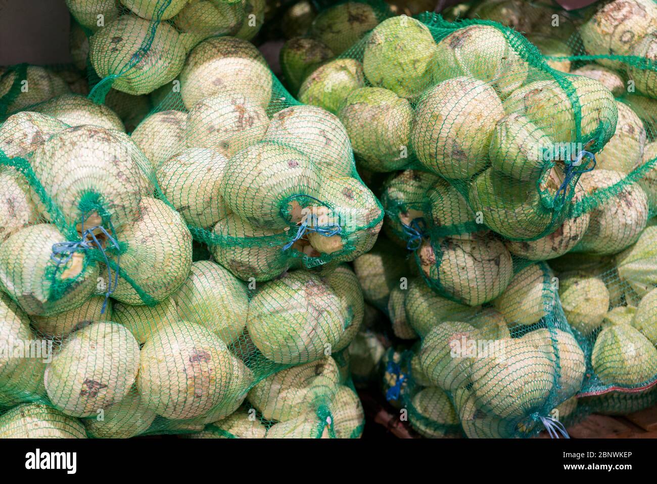 old white cabbage in bags. cabbage in bags at the market. The vendors ...