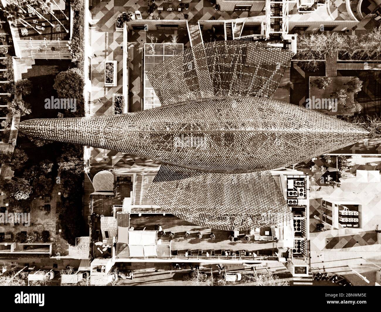 Peix or Fish by Frank Gehry close to the Olympic port of Barcelona ...