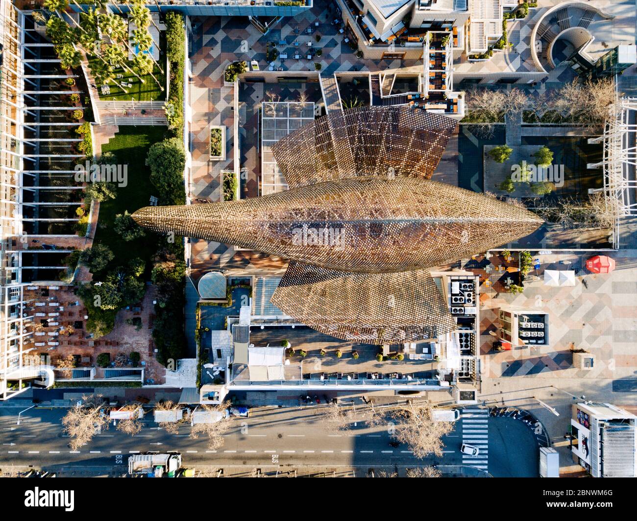 Giant Goldfish High Resolution Stock Photography and Images - Alamy