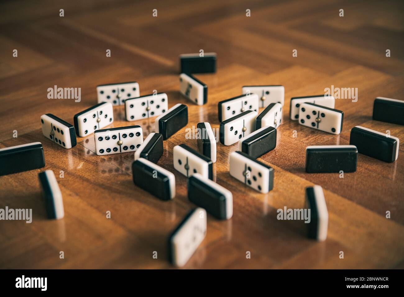 domino game pieces on brown orange wooden floor arranged randomly ...