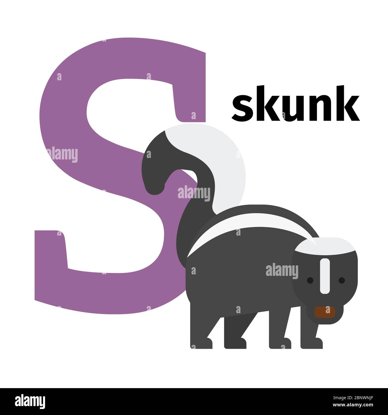 English animals zoo alphabet with letter S. Skunk vector illustration ...