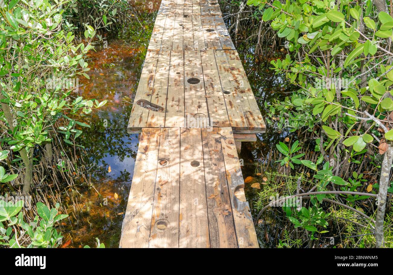 Construction bridge on mountain coast hi-res stock photography and ...
