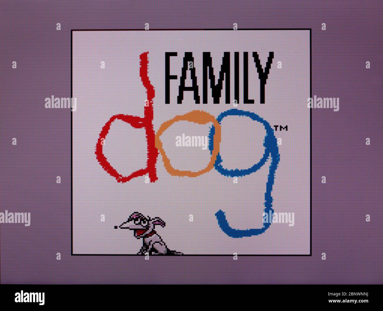 Family Dog - SNES Super Nintendo - Editorial use only Stock Photo - Alamy