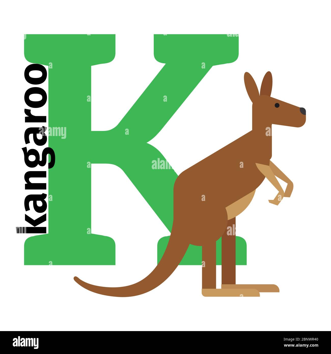 English animals zoo alphabet with letter K. Kangaro vector illustration ...
