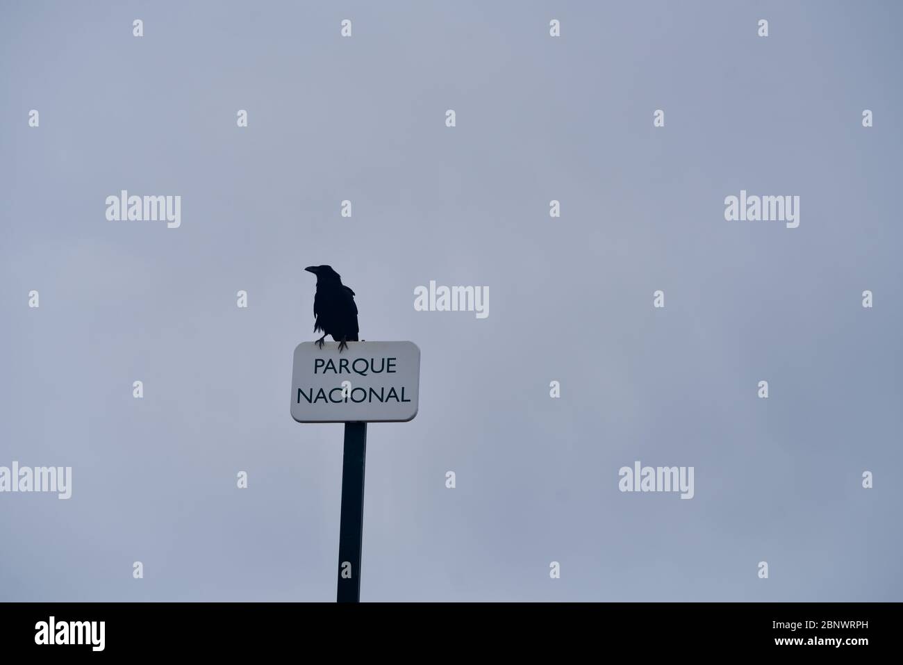 Spanish signboard for a national parc, a raven sitting on it Stock ...