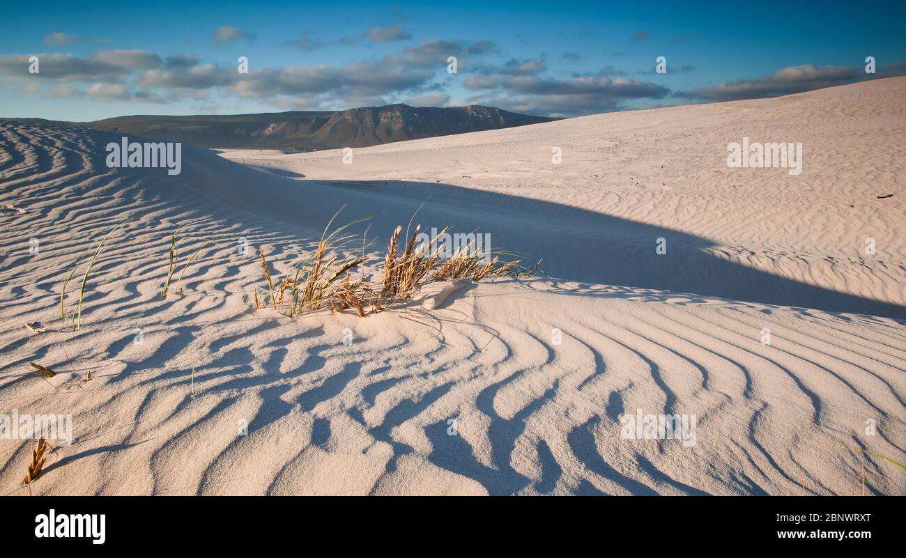 ripples in sand dunes landscape Stock Photo - Alamy