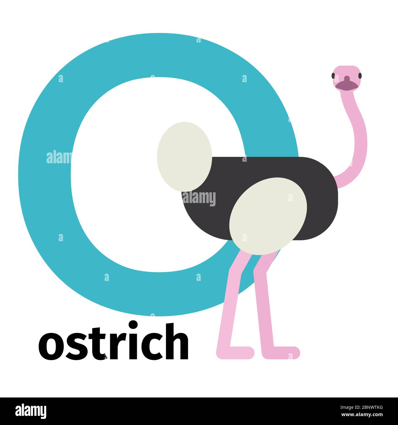 English animals zoo alphabet with letter O. Ostrich vector illustration ...