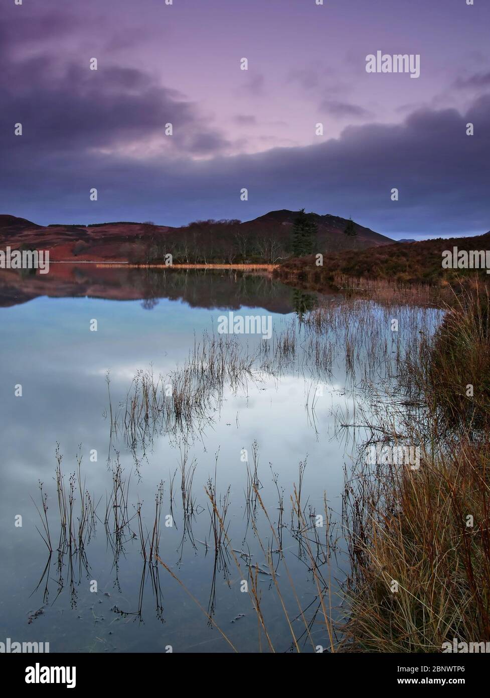 loch tarff scotland landscape in winter Stock Photo - Alamy