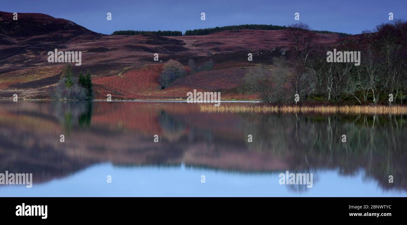 loch tarff scotland landscape in winter Stock Photo - Alamy