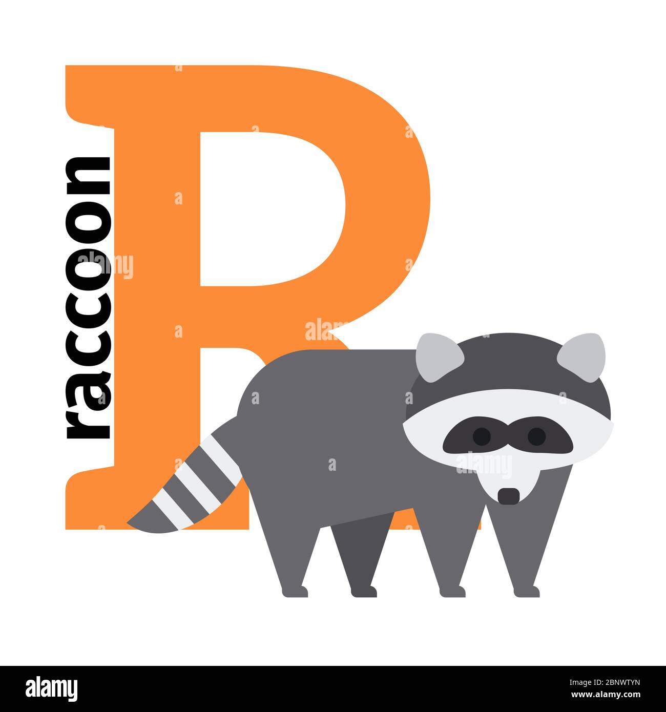 English animals zoo alphabet with letter R. Raccon vector illustration ...