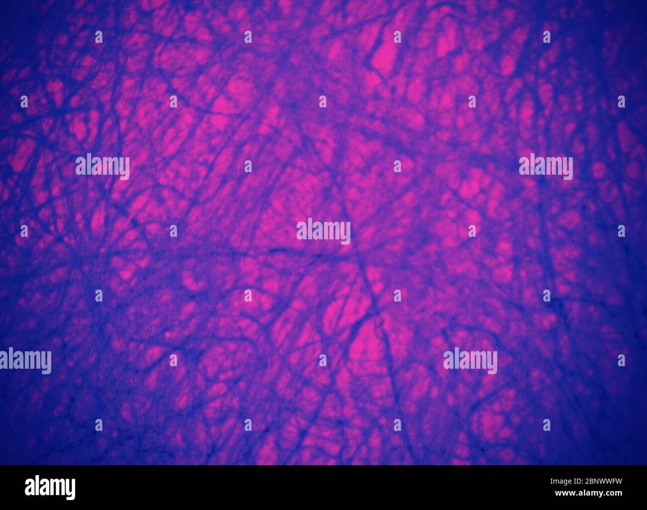 mauve background texture BACKDROP for graphic design AND WEB DESIGN ...